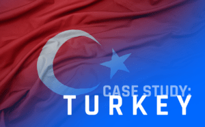 Case Study: Istanbul, Turkey - SeismicAI - EEW